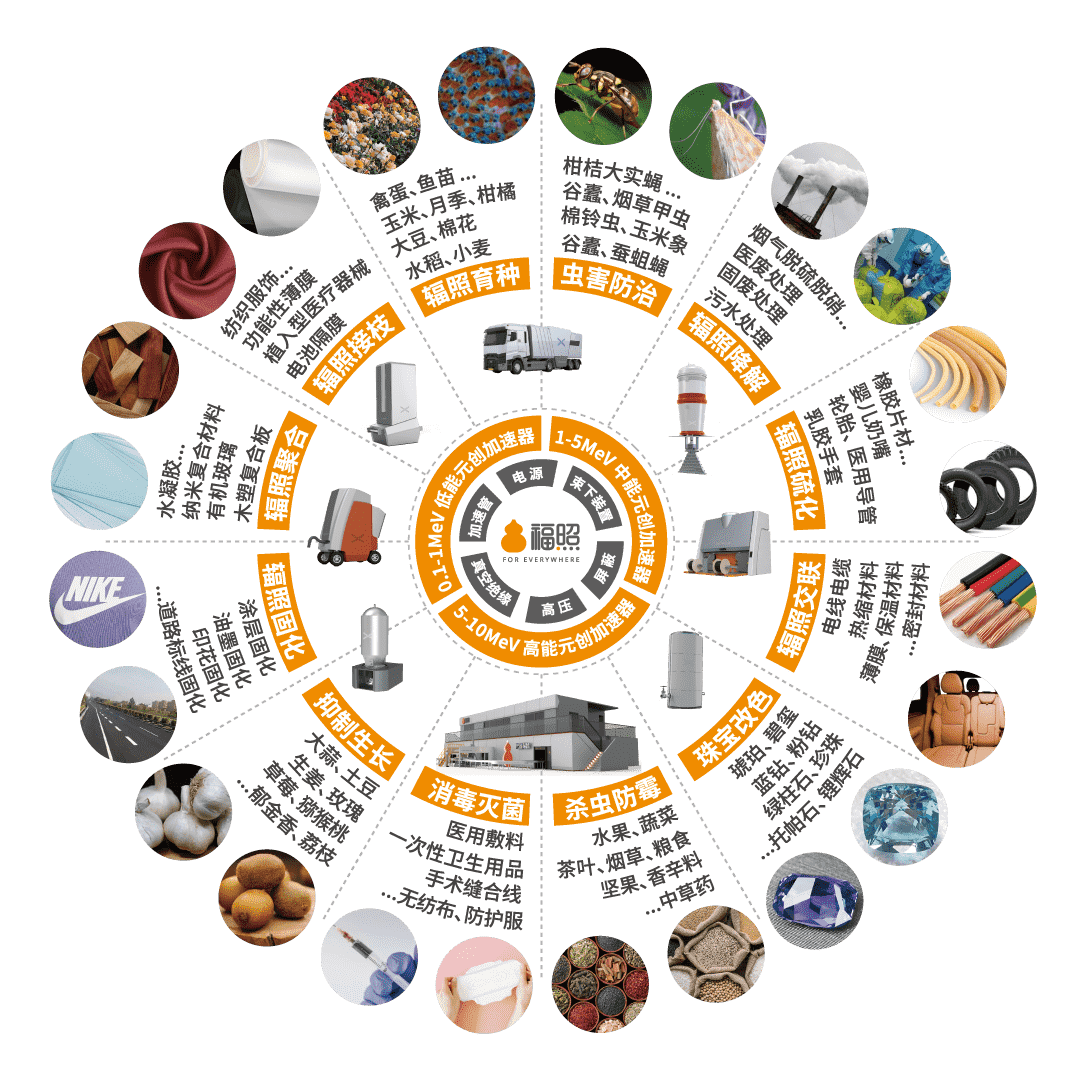 福照人间- 电子辐照技术应用引领者